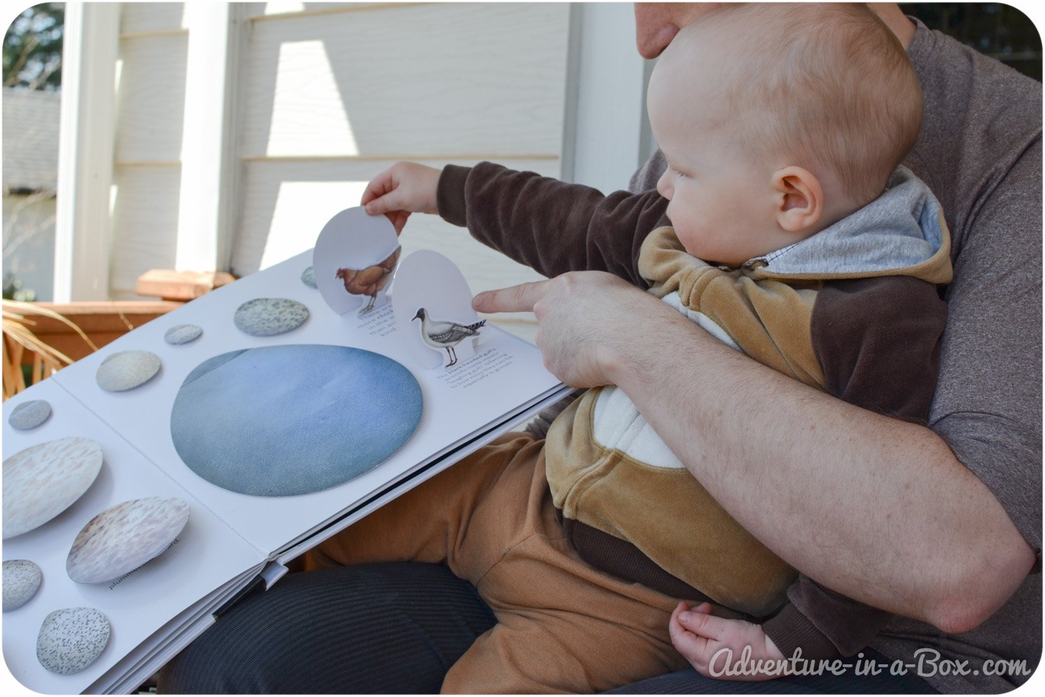 Books as a Tactile Experience for Babies and Toddlers