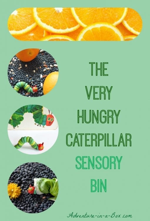 The Very Hungry Caterpillar: Delicious Sensory Bin!