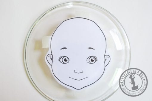 DIY Food Face Plate: for Nutritious & Beautiful Meals!