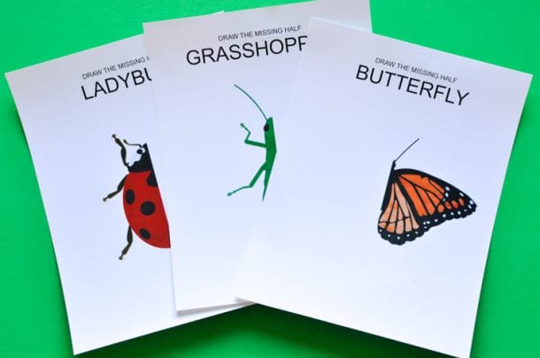 Draw the Missing Half: Insects