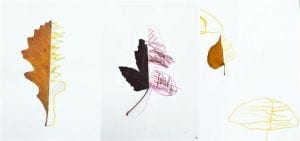 Draw the Missing Half: Leaf Art Study