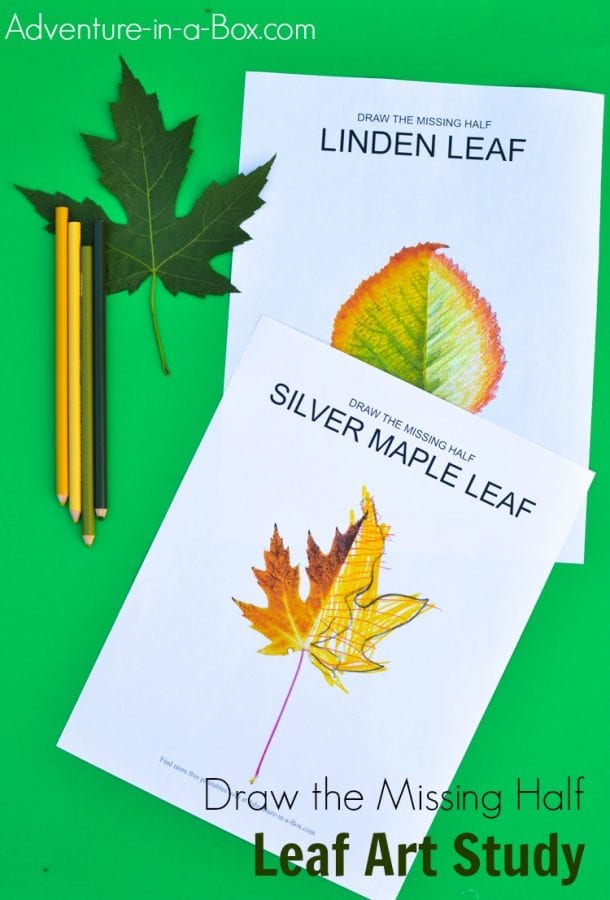 Draw the Missing Half: Leaf Art Study