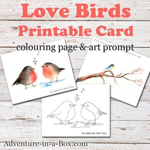 Birds: Free Printable Card, Colouring Page & Drawing Prompt