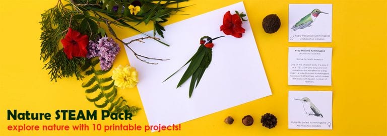 Nature Art Prompts: Birds