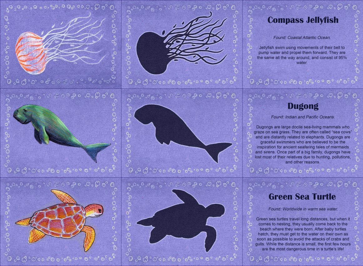 Sea Animal Printable Memory Game: Pack 1 | Adventure in a Box