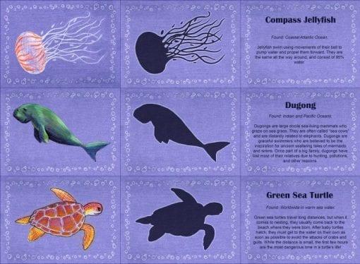 Sea Animal Printable Memory Game | Adventure in a Box