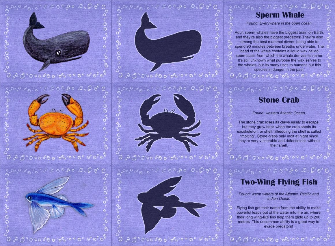 Sea Animal Printable Memory Game | Adventure in a Box