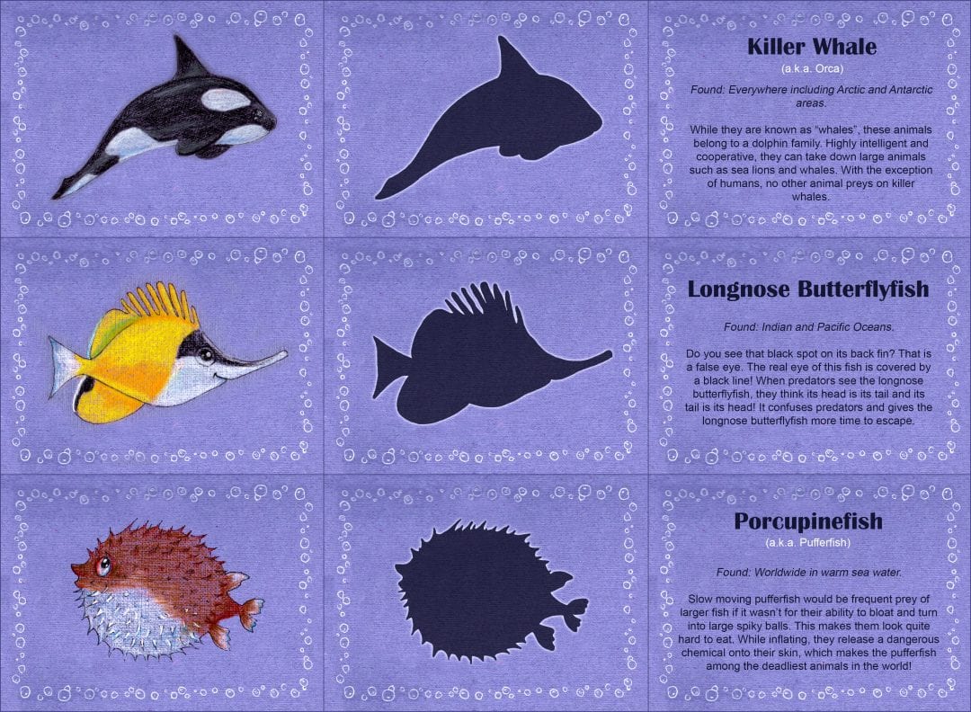 Sea Animal Printable Memory Game | Adventure in a Box