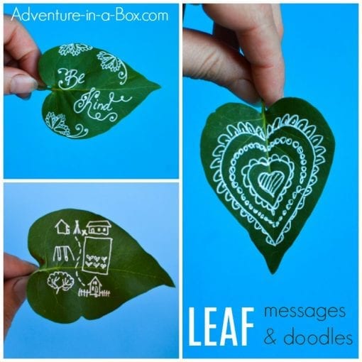 Leaf Messages and Doodles