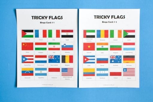 Flags of the World Bingo: Printable Game for Kids