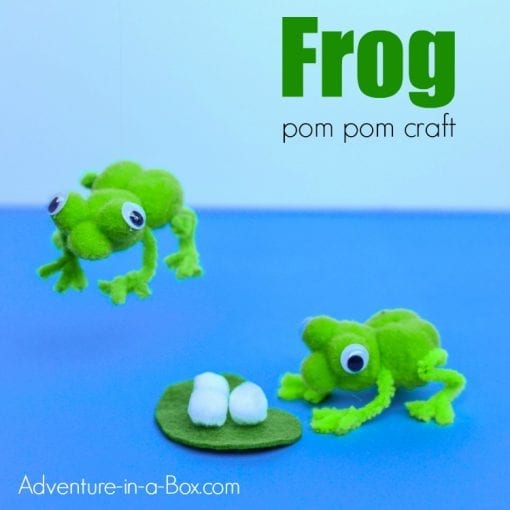 Frog Life Cycle Pom Pom Craft for Nature Studies