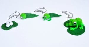 frog-craft-with-pom-poms-featured | Adventure in a Box