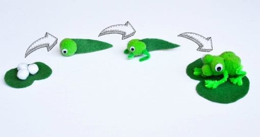 frog-craft-with-pom-poms-featured | Adventure in a Box