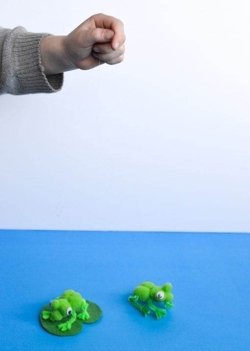Frog Life Cycle Pom Pom Craft for Nature Studies