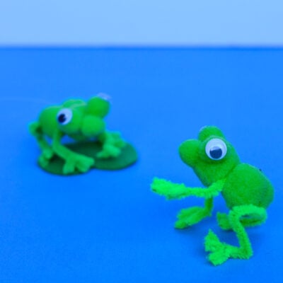Frog Life Cycle Pom Pom Craft for Nature Studies