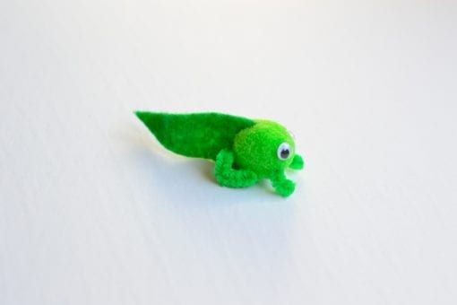 Frog Life Cycle Pom Pom Craft for Nature Studies