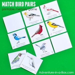 Match Male & Female Bird Pairs: Printable Memory Game | Adventure in a Box