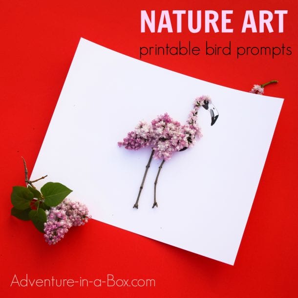 Nature STEAM pack: Explore Nature with 10 Printable Projects ...