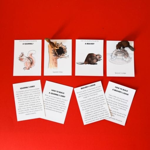 Nature STEAM pack: Explore Nature with 10 Printable Projects ...