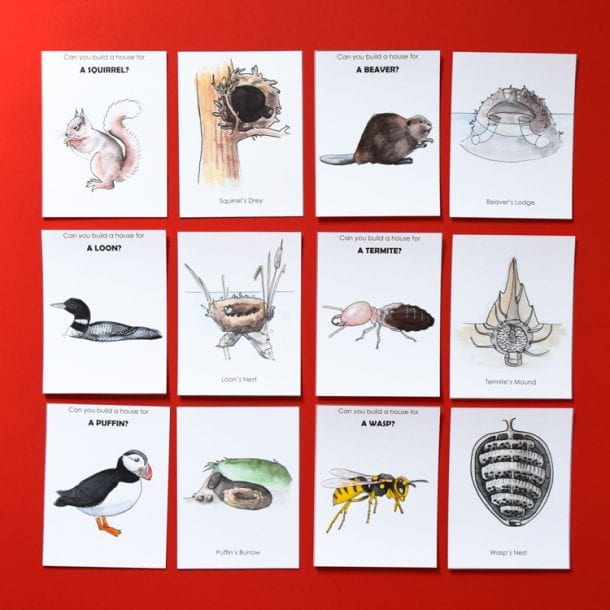 Nature STEAM pack: Explore Nature with 10 Printable Projects ...
