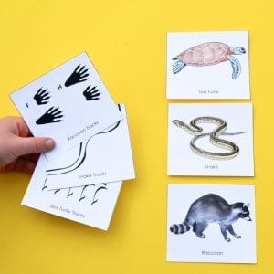 Animal Tracks: Printable Nature Game for Kids