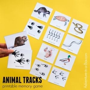 Animal Tracks: Printable Nature Game for Kids