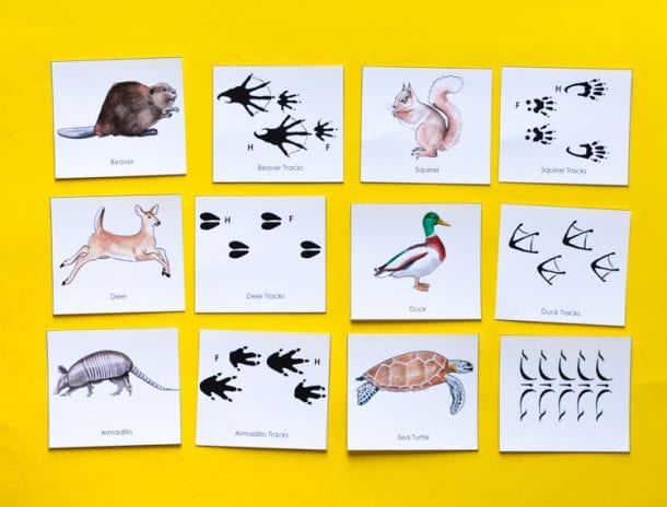 Animal Tracks: Printable Game for Kids | Adventure in a Box