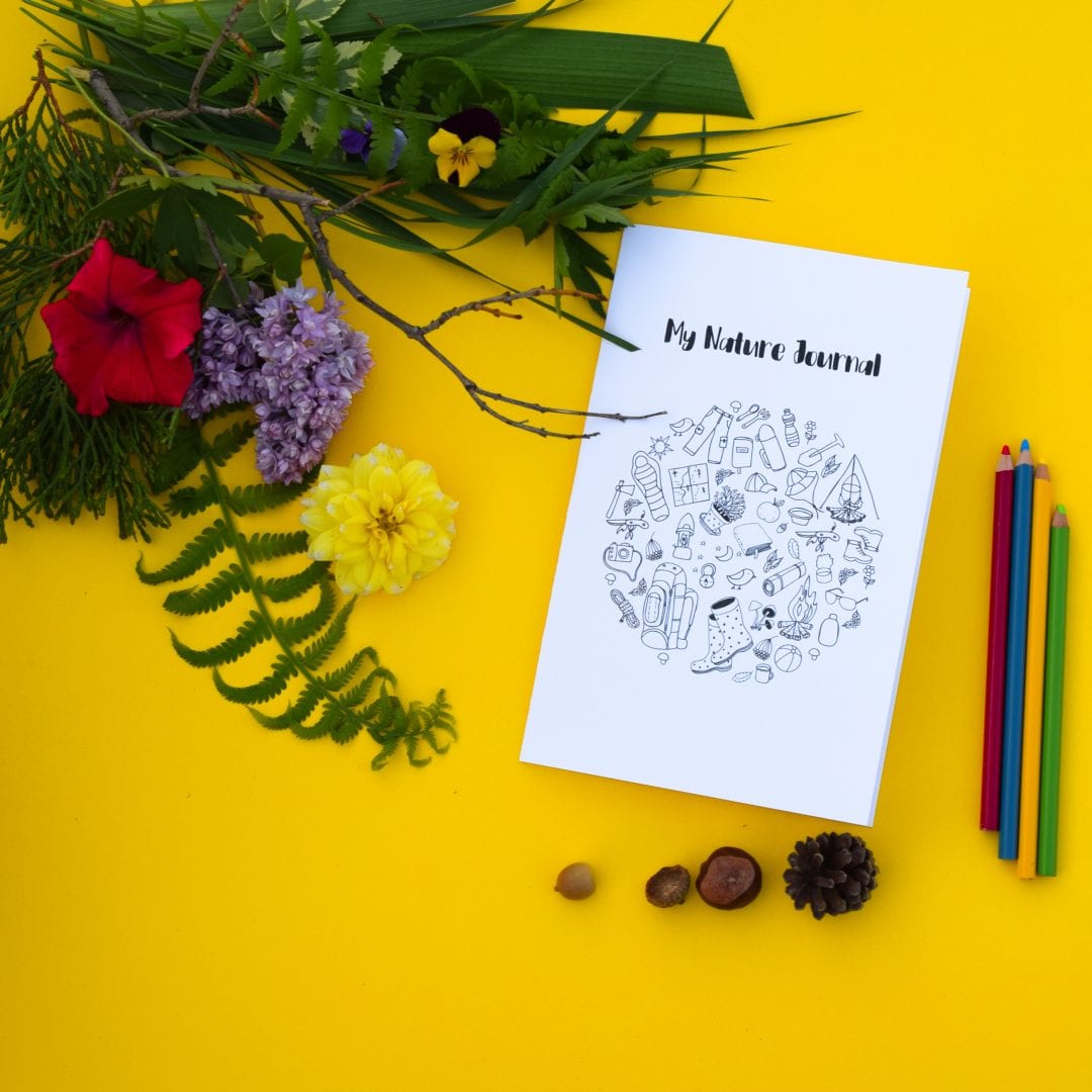 Nature STEAM pack: Explore Nature with 10 Printable Projects ...