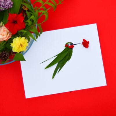 Nature Art Prompts: Bird Pack | Adventure in a Box