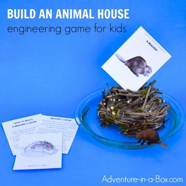 Animal Houses: Engineering Game for Kids