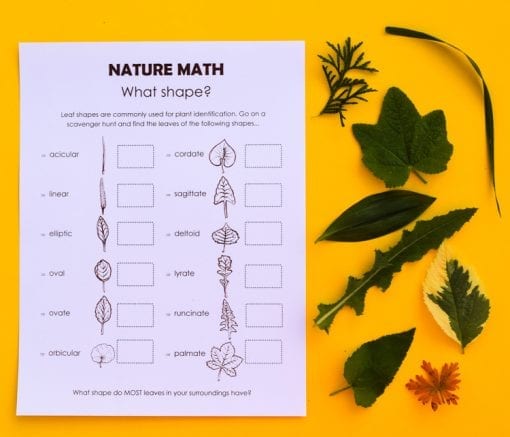 Math in Nature Scavenger Hunt for Kids