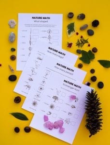 Math in Nature Scavenger Hunt for Kids