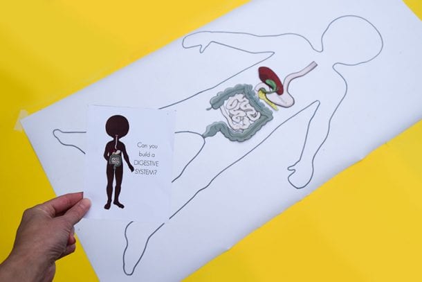 Life-Size Printable Human Skeleton for Kids