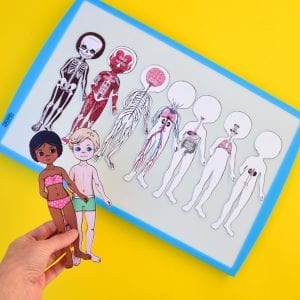 Anatomy Printable Paper Doll for Kids