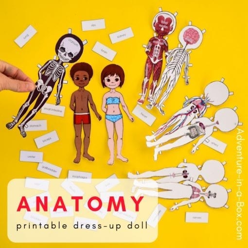 100+ Printable Paper Dolls for Kids | Adventure in a Box