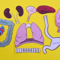 Printable Activities for Kids