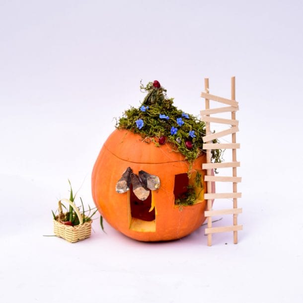 Pumpkin House: Engineering Project for Kids