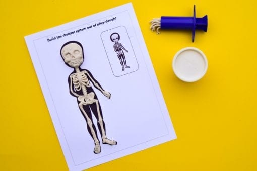 Human Body Anatomy Play-Dough Mats for Kids