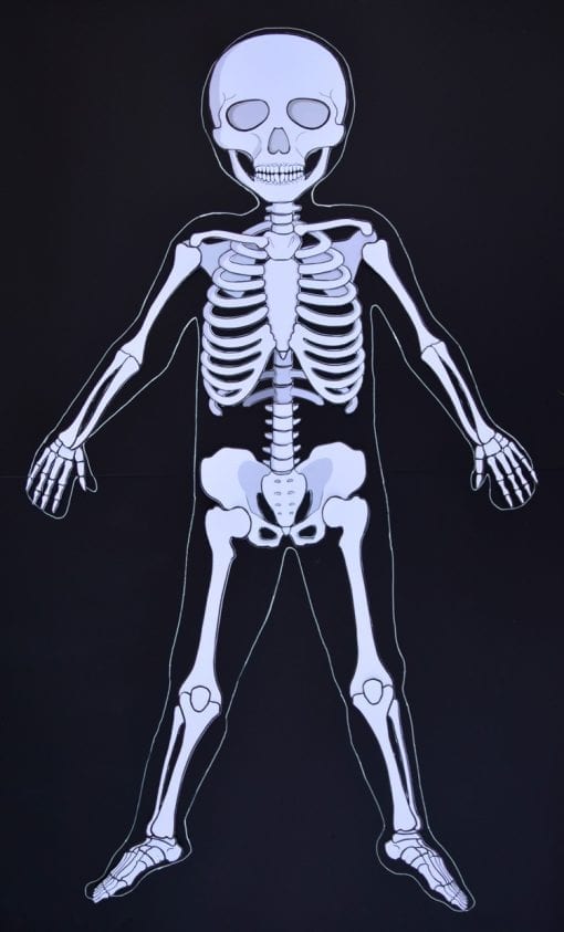 Life-Size Anatomy Paper Models with Printable Organs | Adventure in a Box