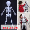 Life-Size Printable Skeleton Paper Model | Adventure in a Box