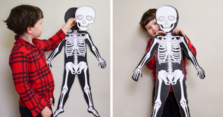 Free Printable Life-Size Organs for Studying Human Body Anatomy with