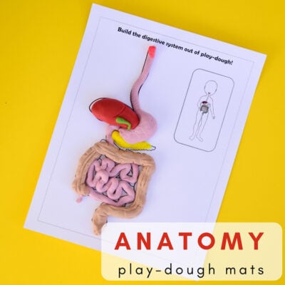 Human Body Anatomy Play-Dough Mats for Kids
