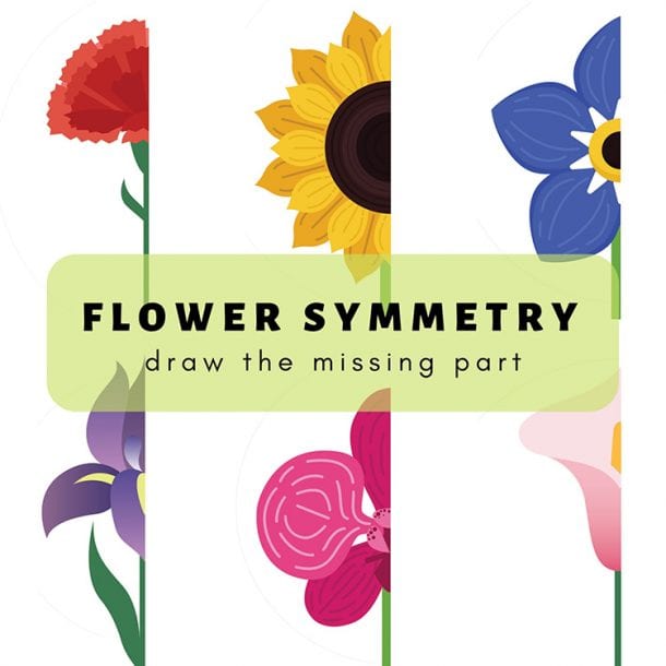 Draw the Missing Half: Insects