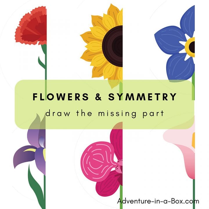 Flower Symmetry: Draw the Missing Half Art Prompts