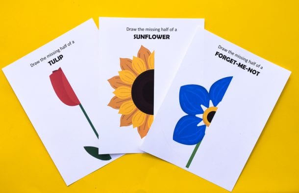 Flower Symmetry: Draw the Missing Half Art Prompts