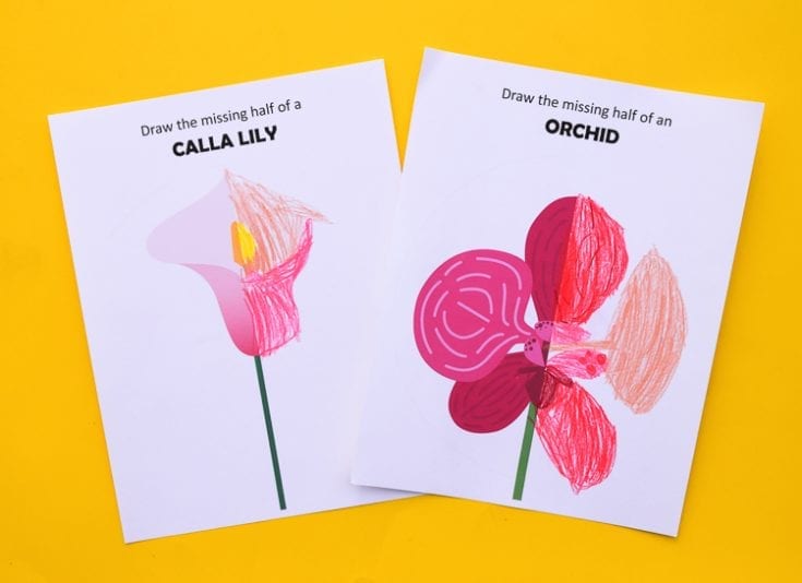 Flower Symmetry: Draw the Missing Half Art Prompts