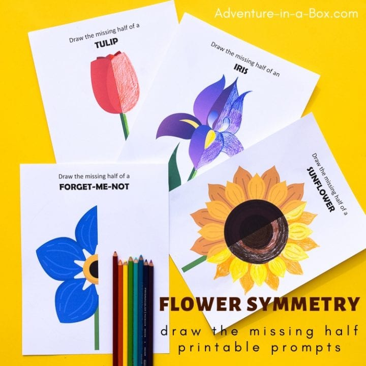 Flower Symmetry: Draw the Missing Half Art Prompts