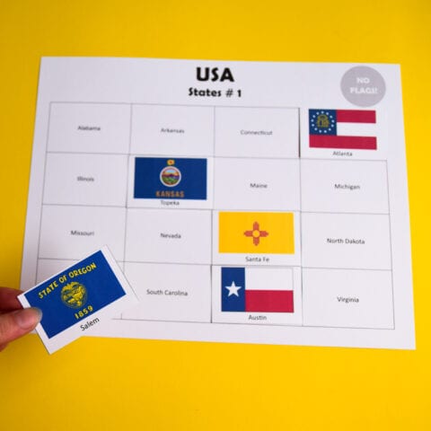 Flags, Countries & Capitals Game Bundle | Adventure in a Box