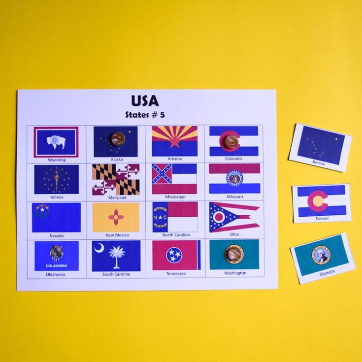 USA: States, Capitals and Flags - Printable Bingo and Memory Games