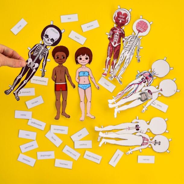 Diverse Paper Dolls